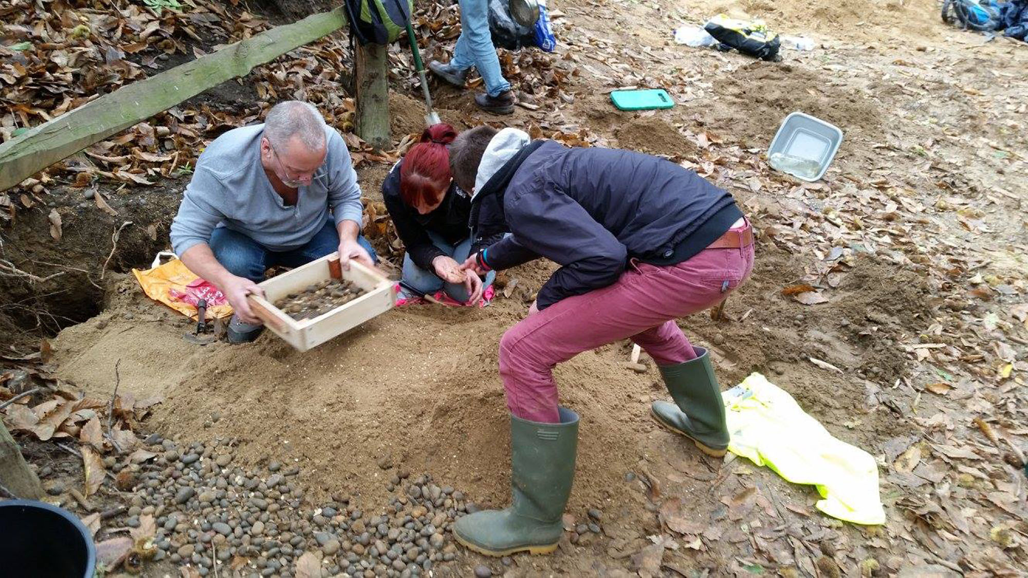 Abbey Wood – UK Fossil Collecting