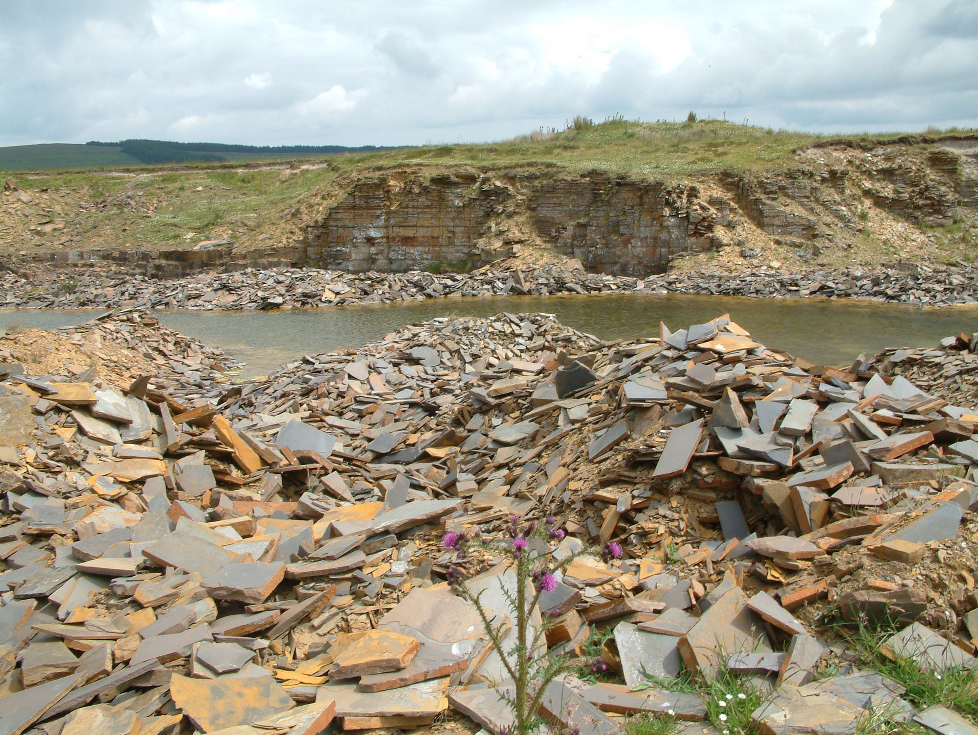 UK Fossil Collecting