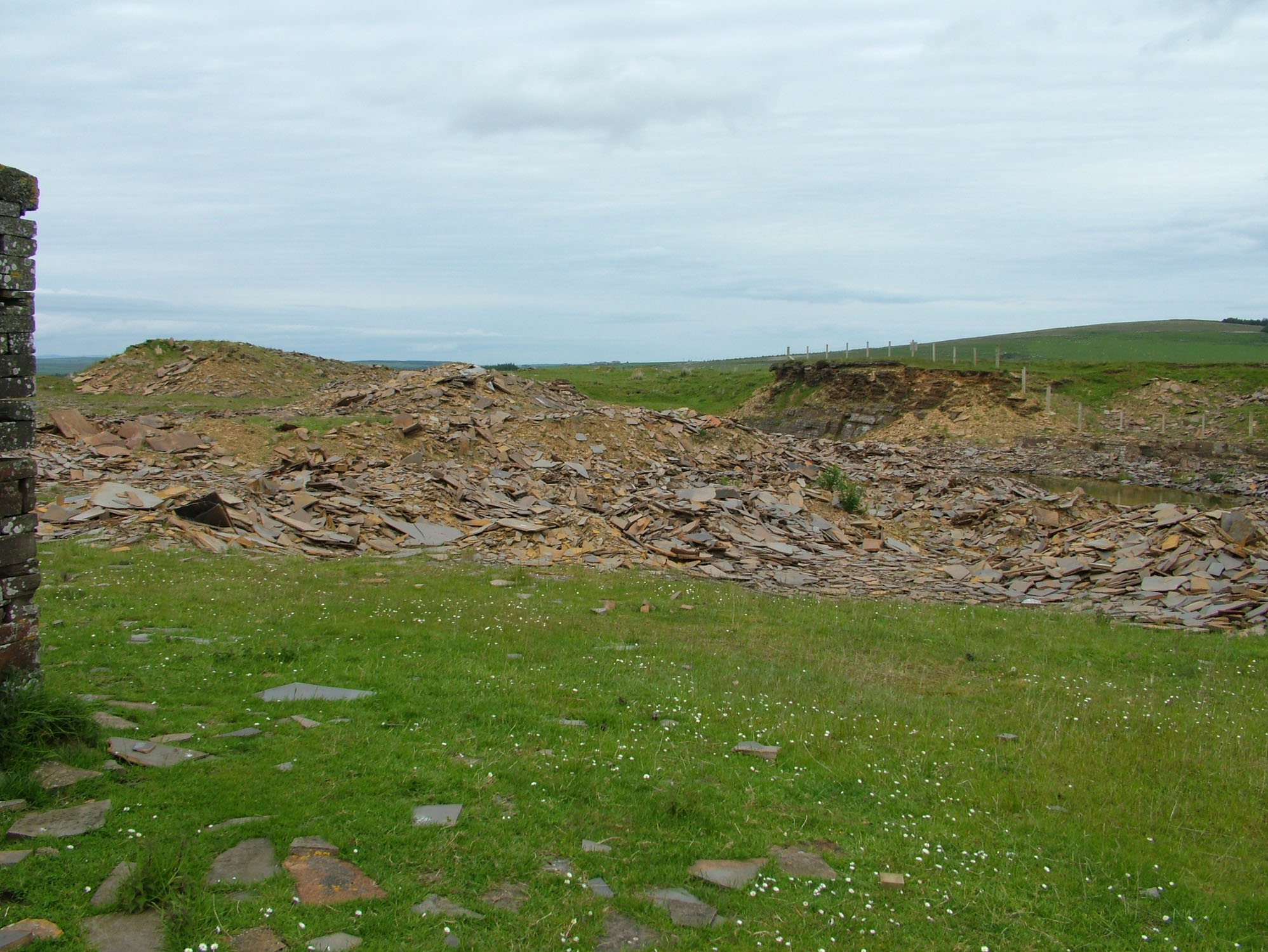 UK Fossil Collecting