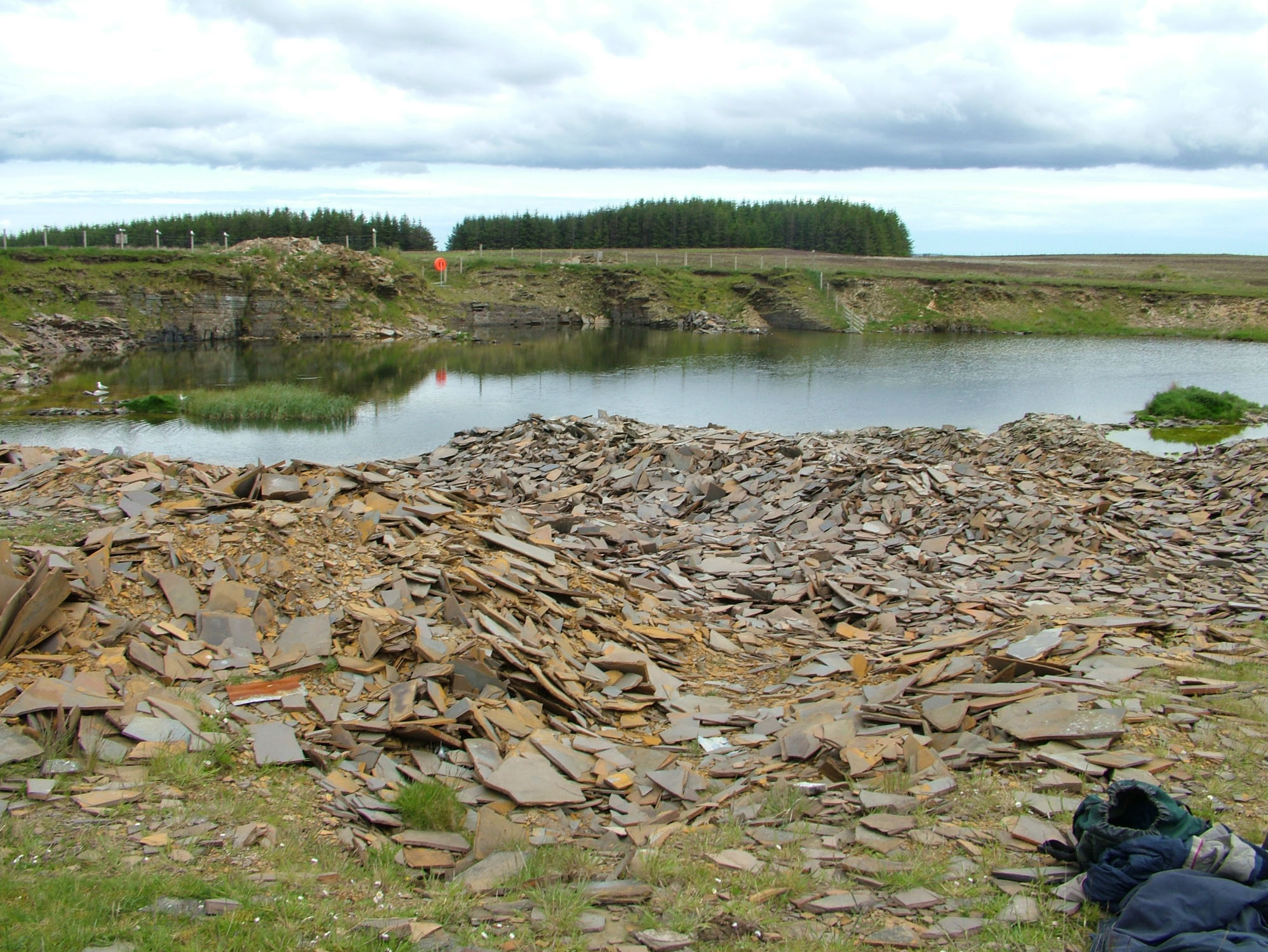 UK Fossil Collecting