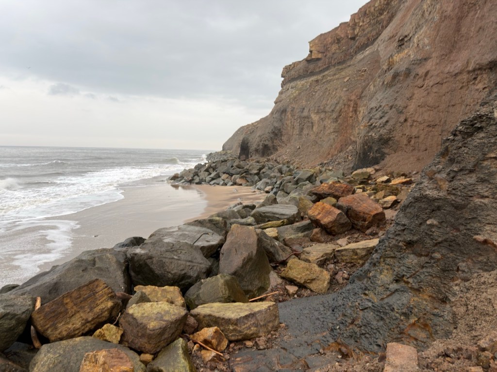 Whitby - Fossil Collecting Guide (UK Fossils)