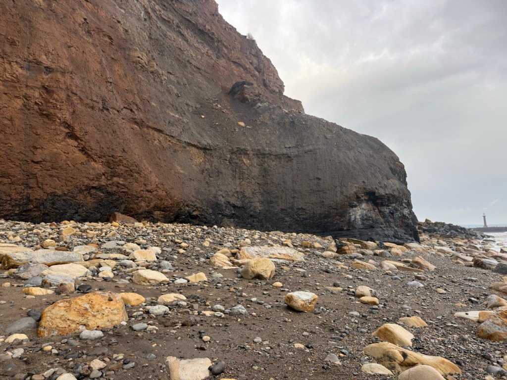 Whitby - Fossil Collecting Guide (UK Fossils)