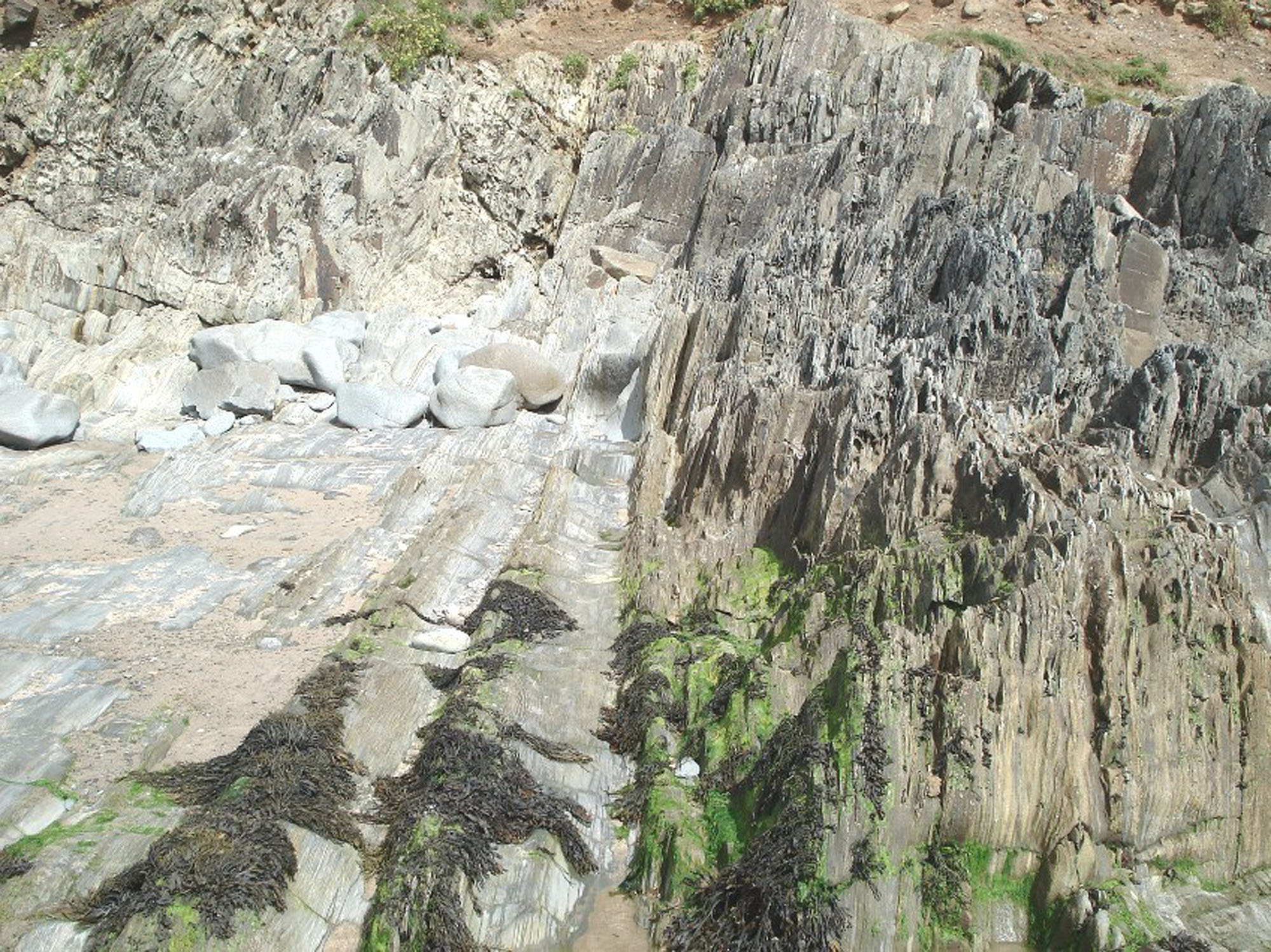 Near vertical layers of shale topped with boulder clay – UK Fossil ...
