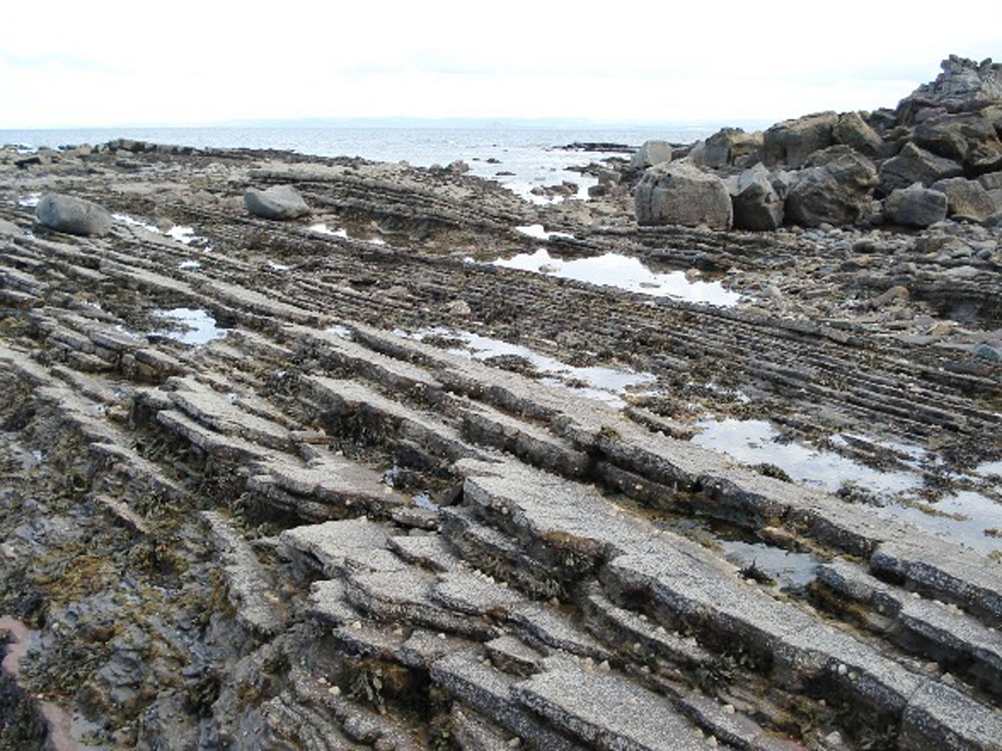 Dipping strata on the West side of Billow Ness – UK Fossil Collecting