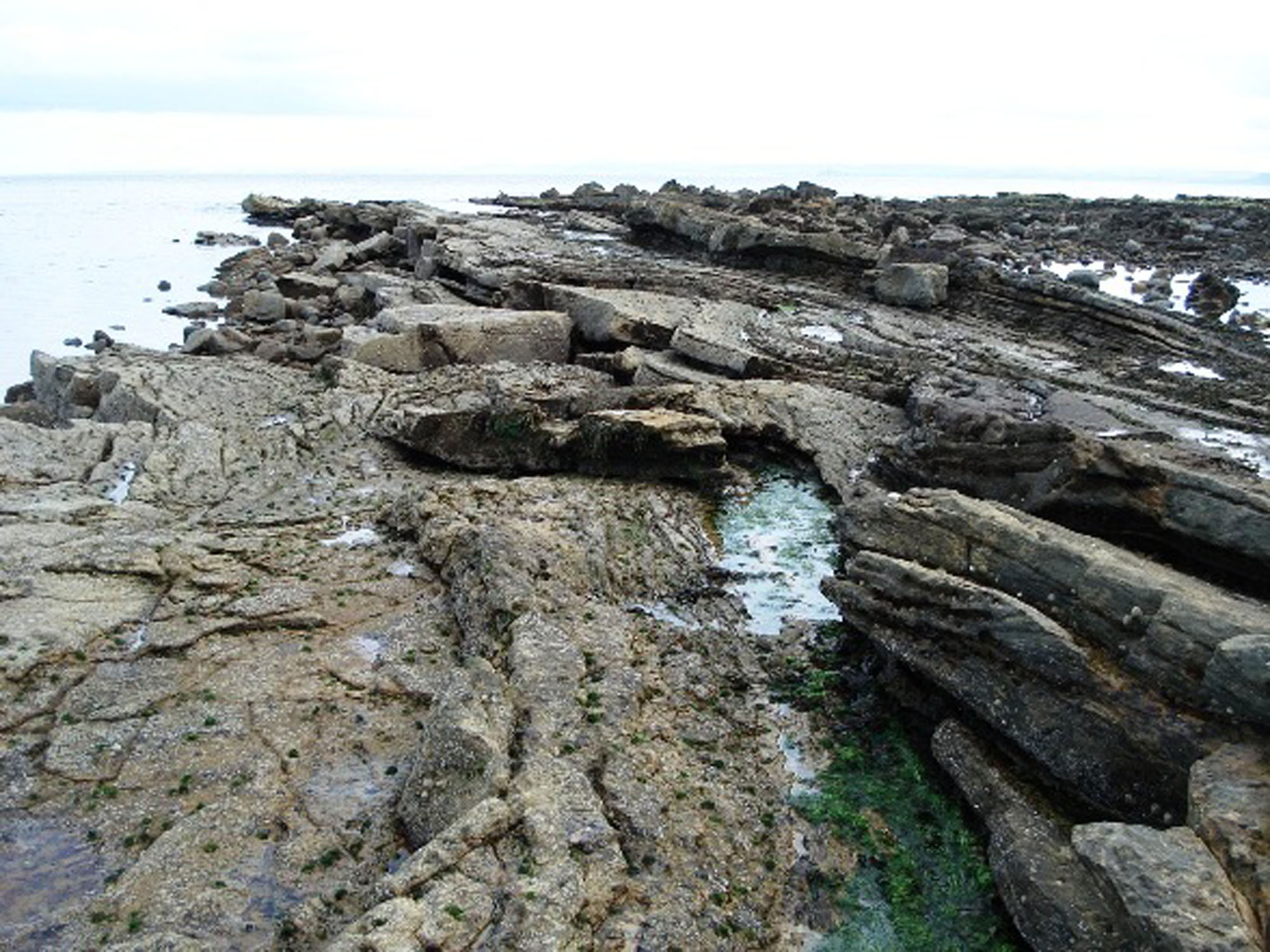 Look on the surface of the rock layers – UK Fossil Collecting