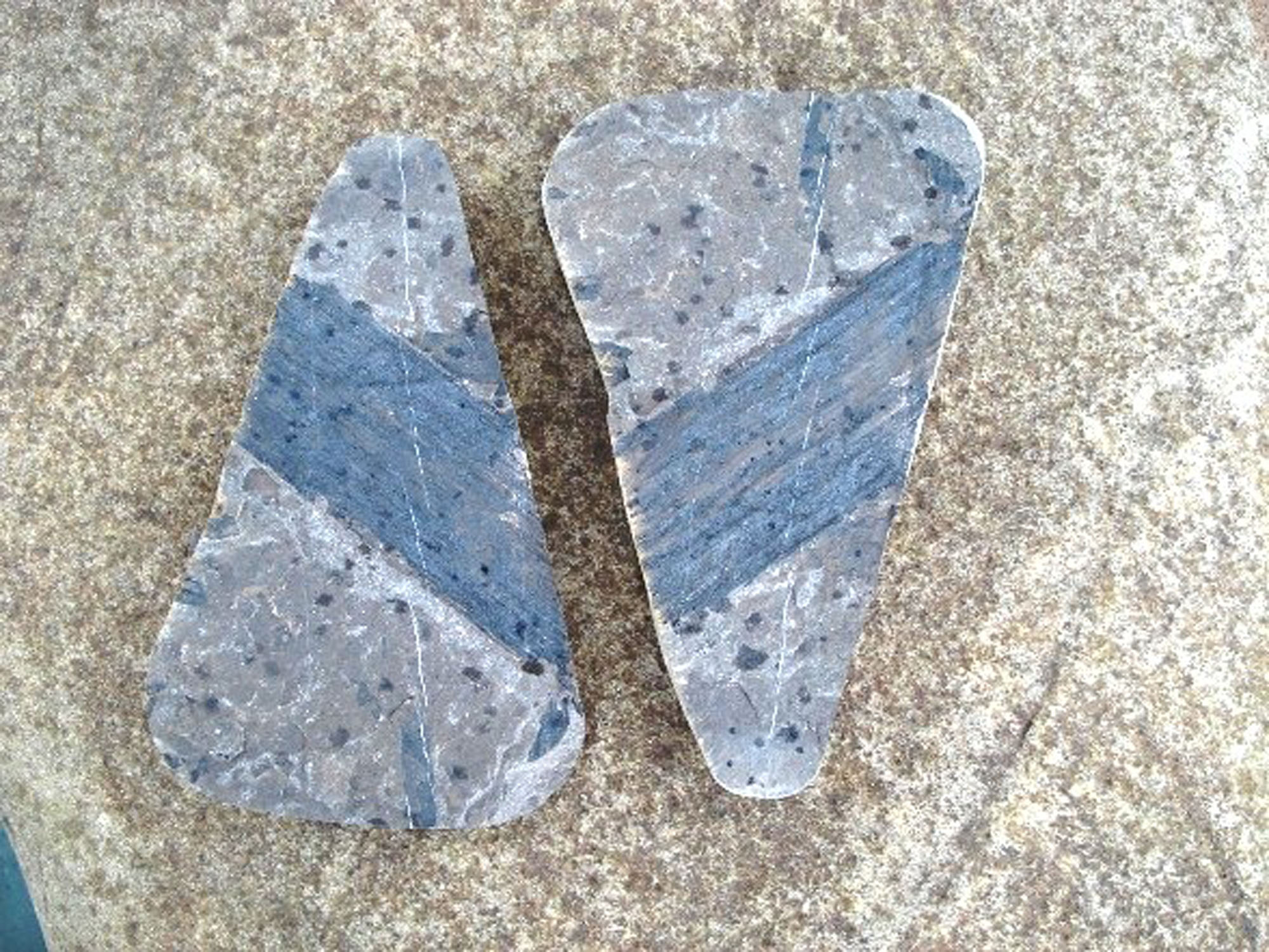 Split limestone nodule with Stigmaria ficoides – UK Fossil Collecting