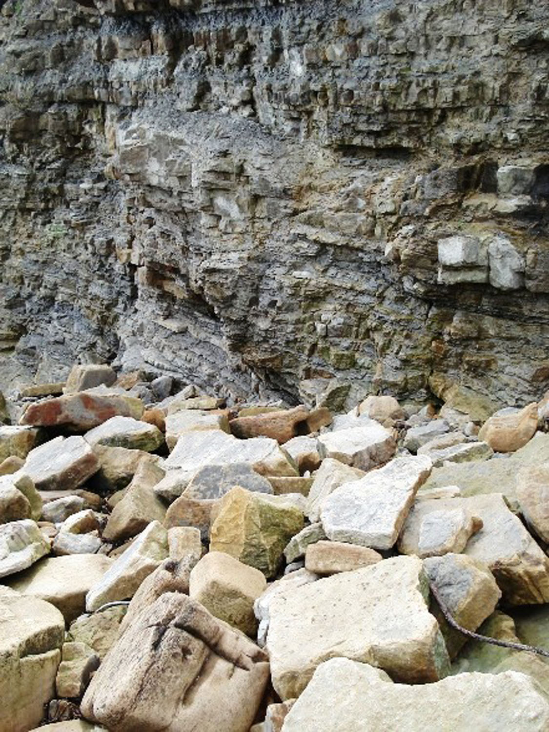 Large sandstone blocks and cliffs – UK Fossil Collecting