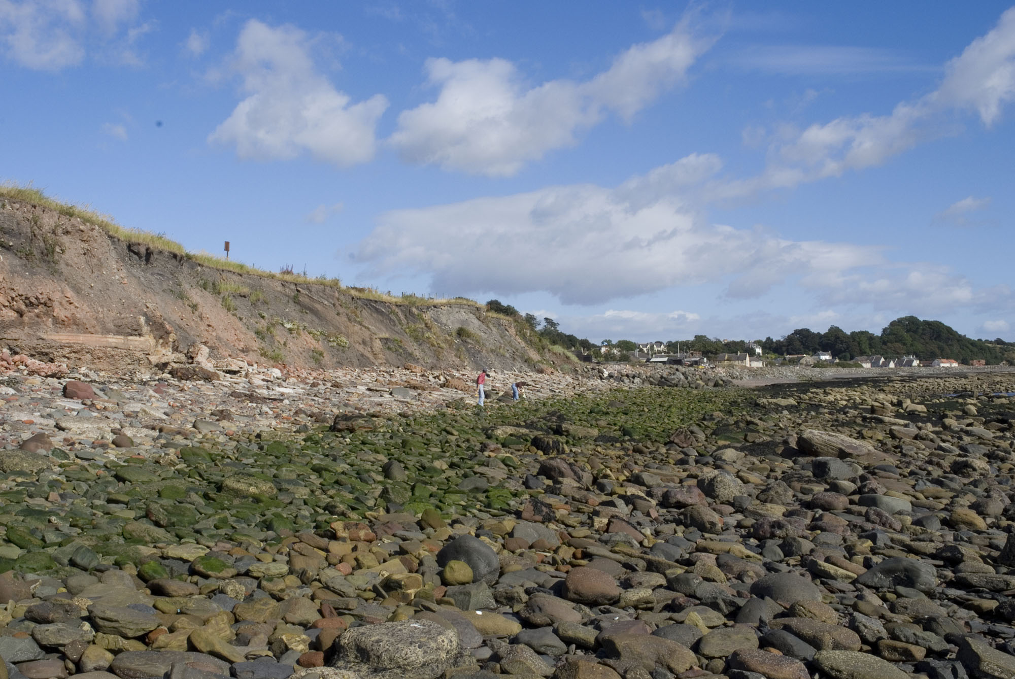 - Fossil Collecting Guide (UK Fossils)