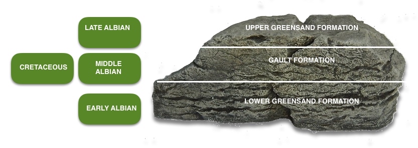 Folkestone – UK Fossil Collecting