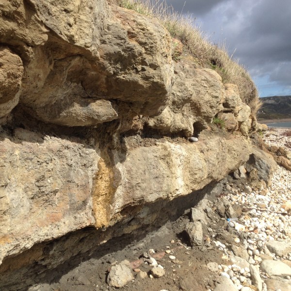 Ringstead Bay – UK Fossil Collecting
