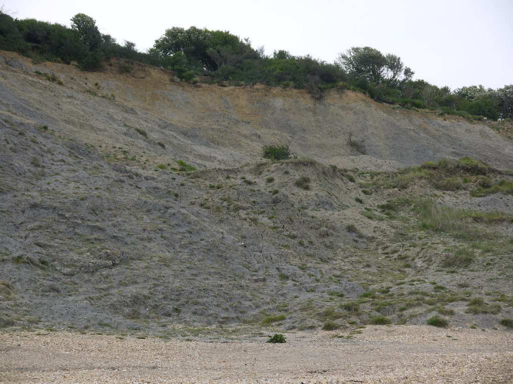 furzy-cliff_bowleaze-cove – UK Fossil Collecting