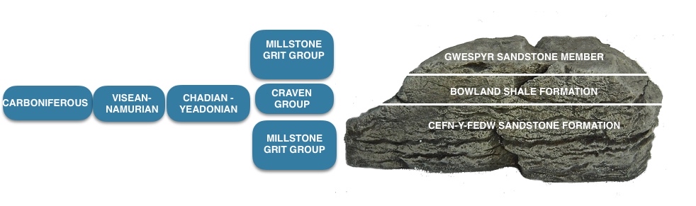 Moel Findeg - Fossil Collecting Guide (UK Fossils)