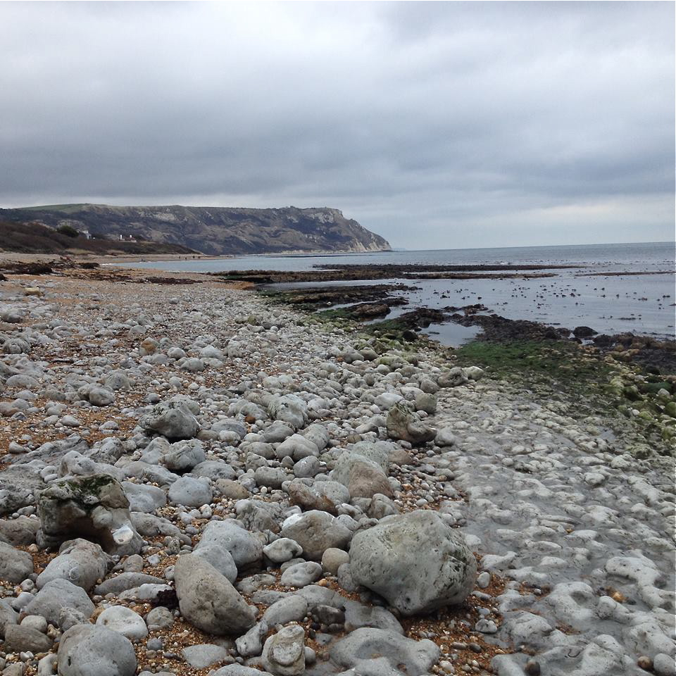 UK Fossil Collecting