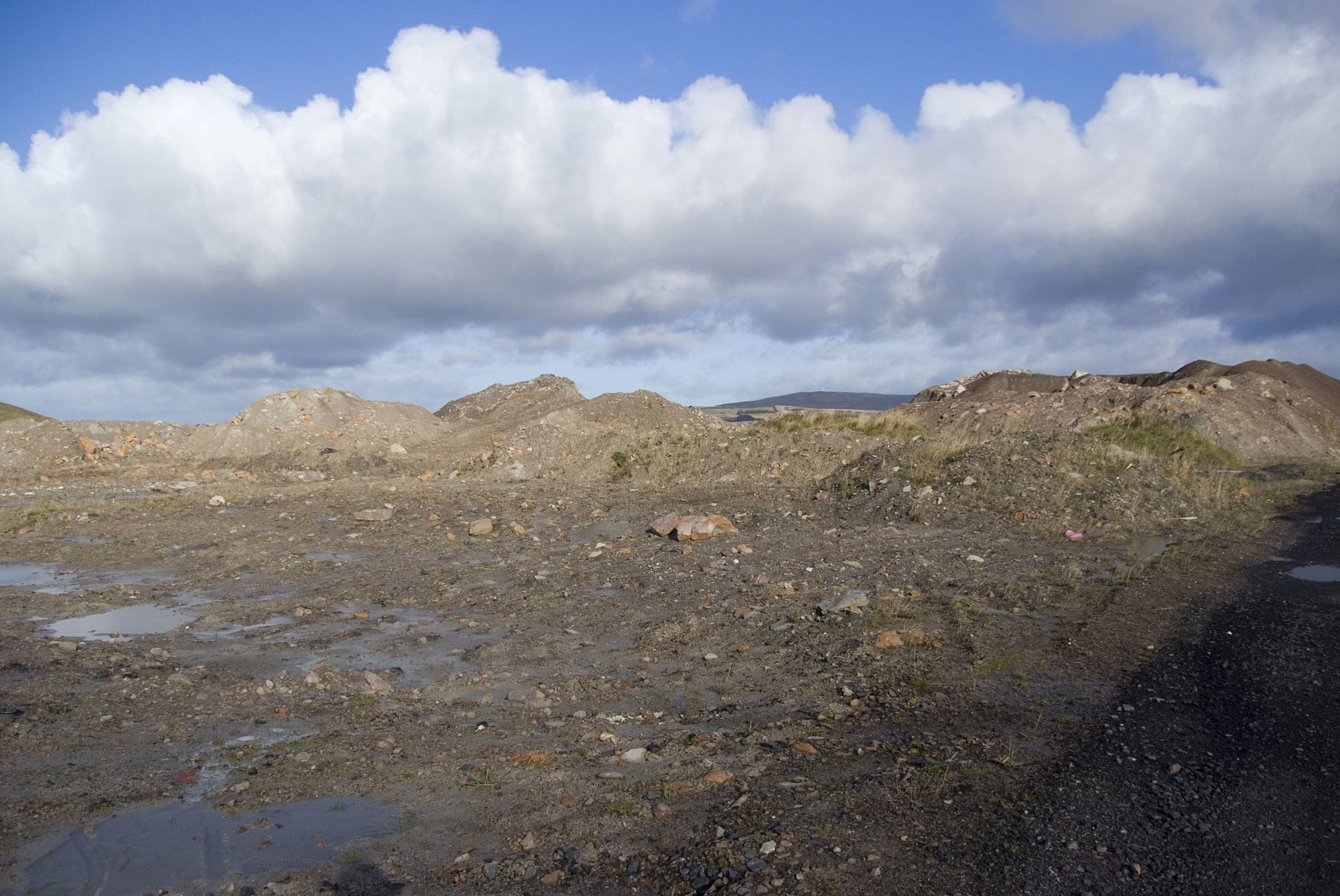UK Fossil Collecting