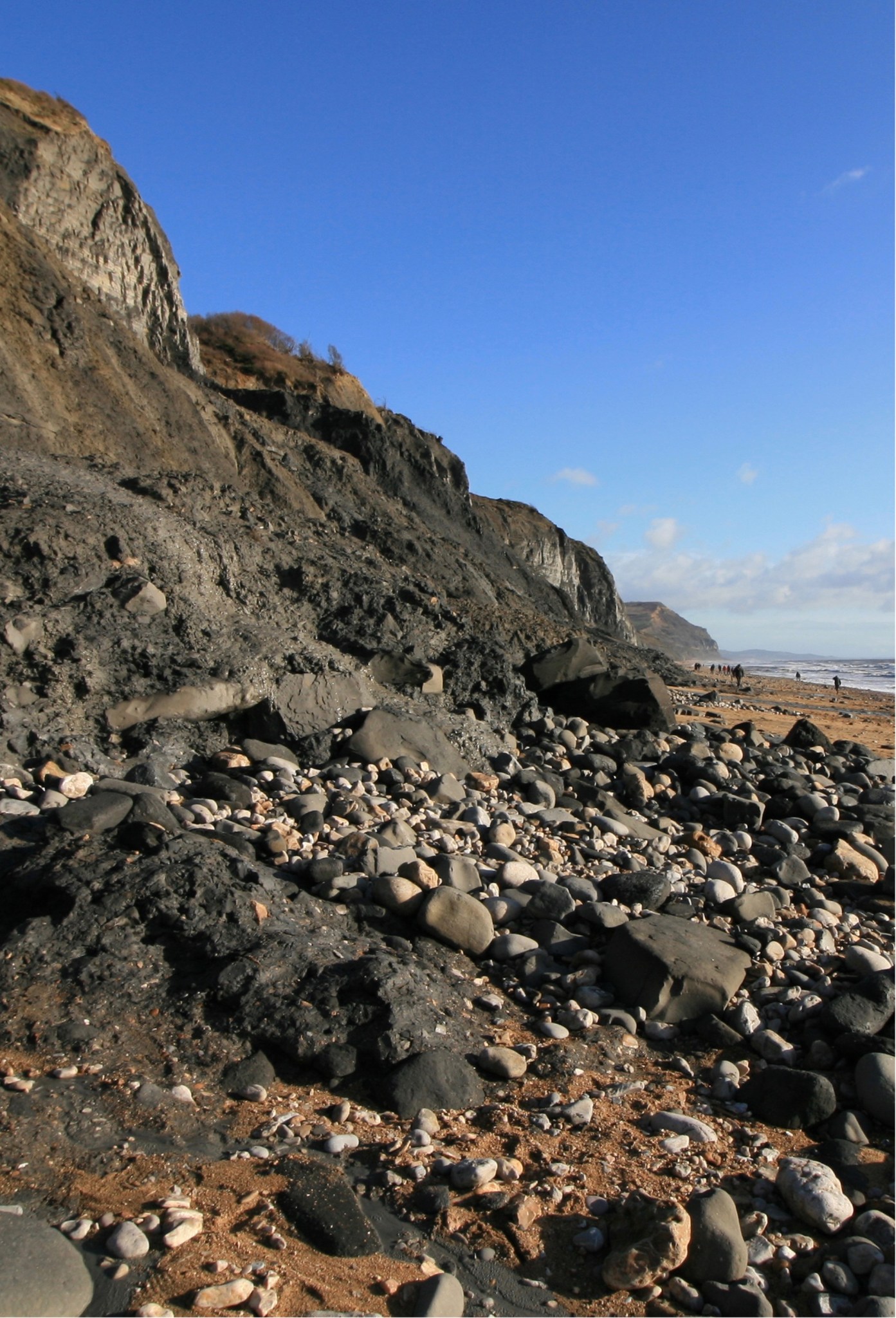 stonebarrow – UK Fossil Collecting