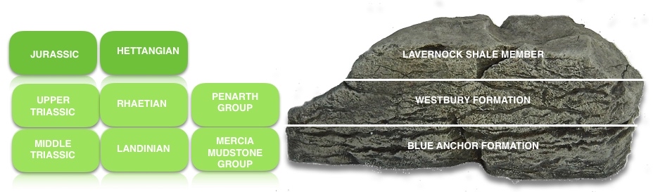 Penarth – UK Fossil Collecting