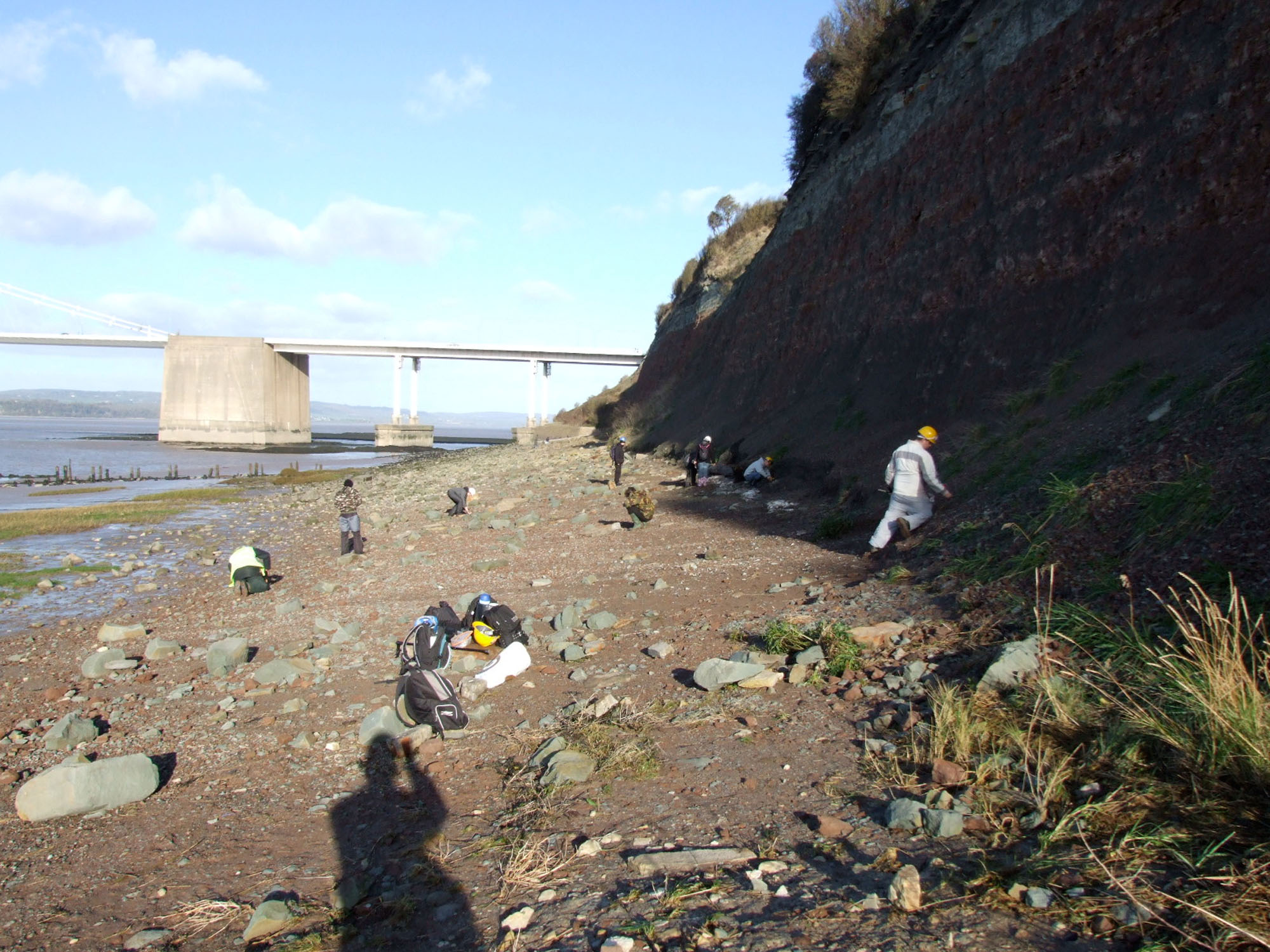 Aust cliff – UK Fossil Collecting