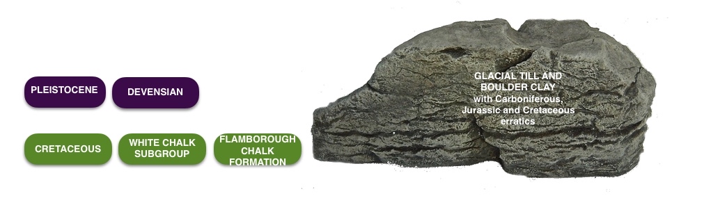 Hornsea – UK Fossil Collecting