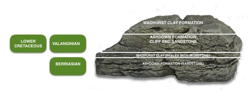 Fairlight – UK Fossil Collecting