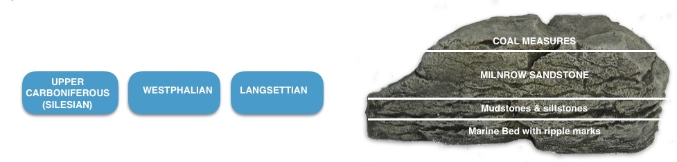 Newhey Quarry – UK Fossil Collecting