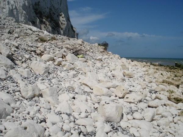 Chalk rock fall – UK Fossil Collecting