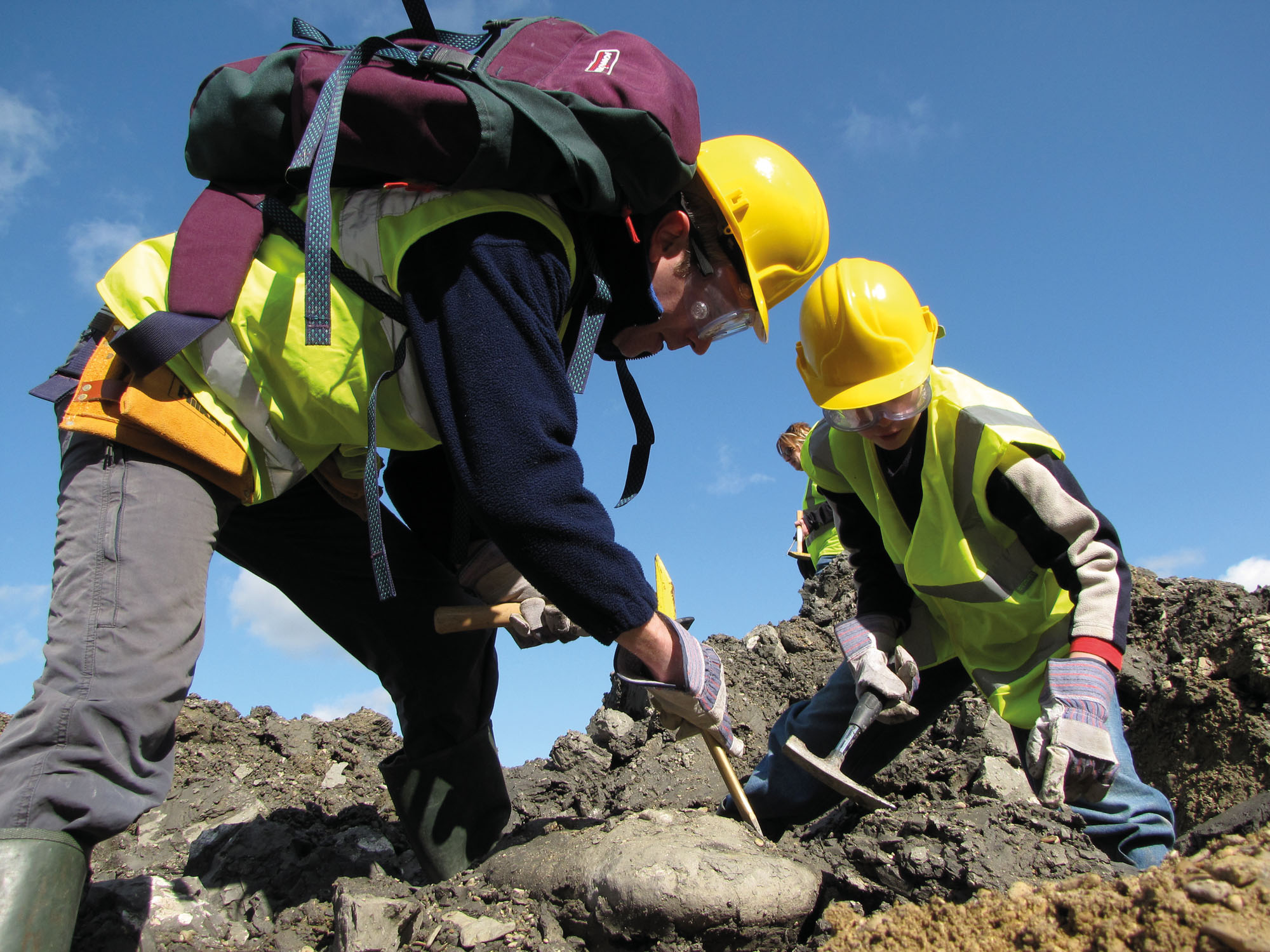 UK Fossil Collecting – Where to find fossils and what to find. UK ...