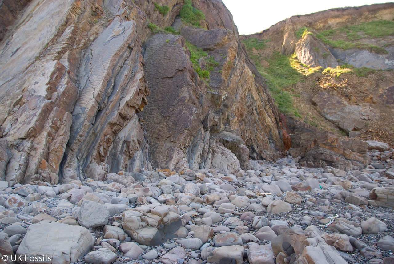 UK Fossil Collecting