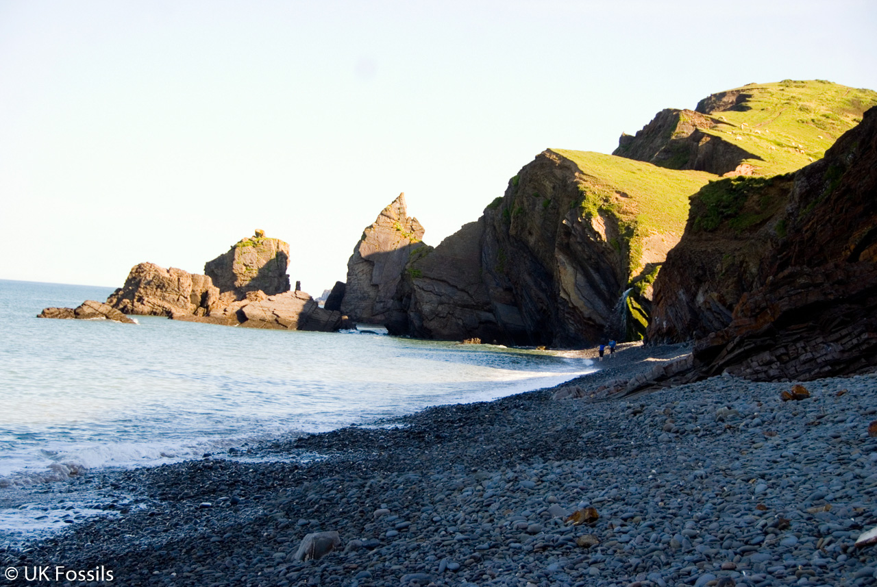 UK Fossil Collecting