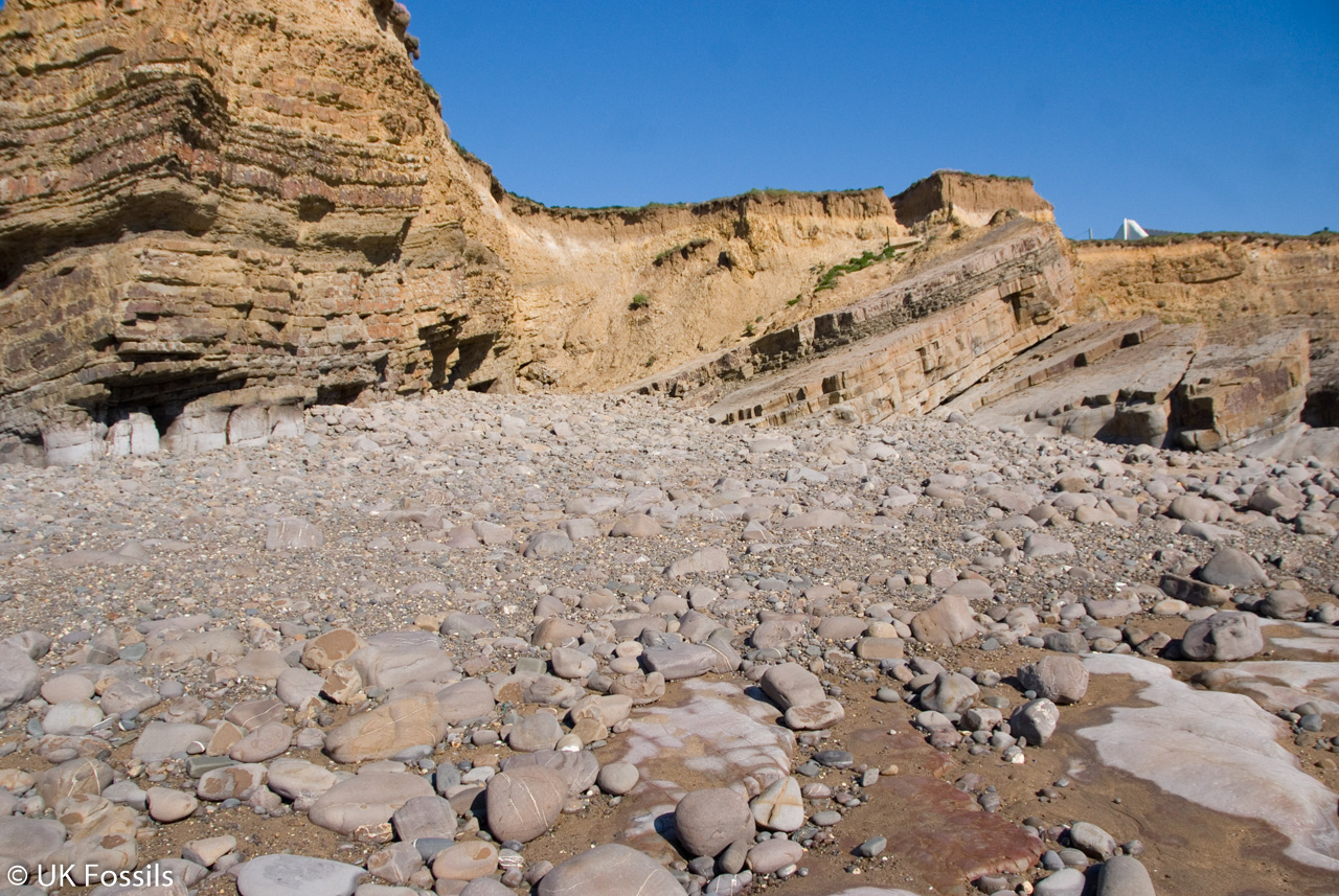 UK Fossil Collecting