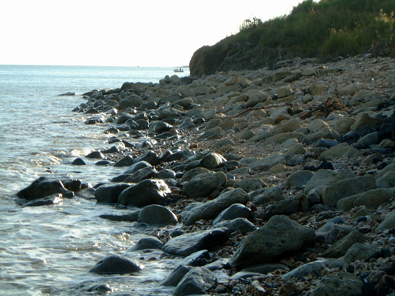 UK Fossil Collecting