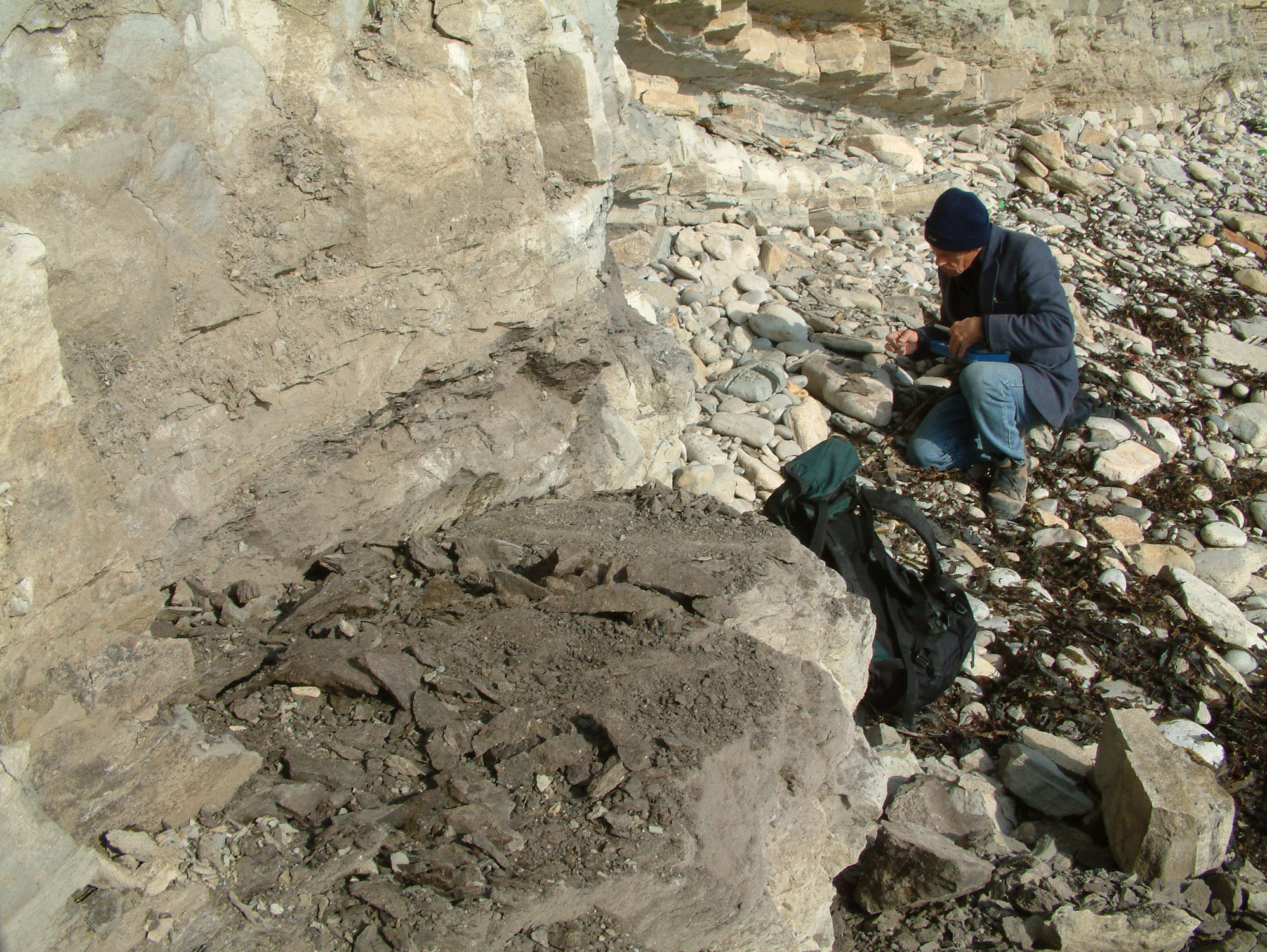 UK Fossil Collecting