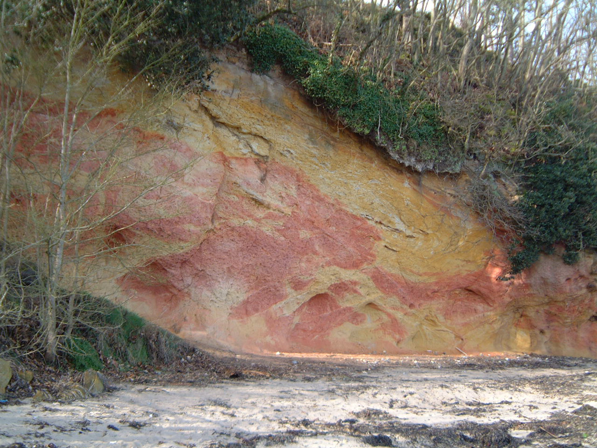 UK Fossil Collecting