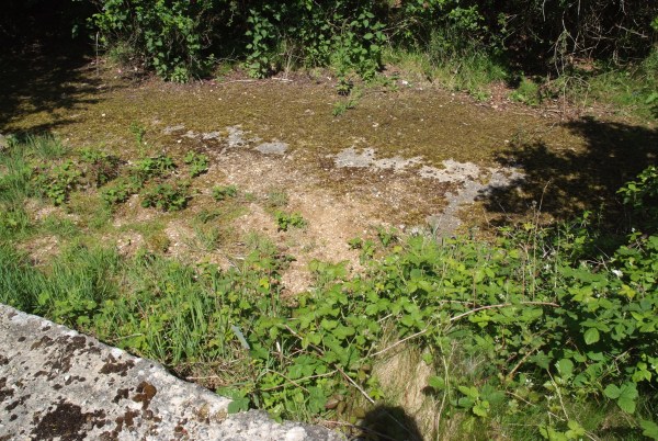 Suffolk – UK Fossil Collecting