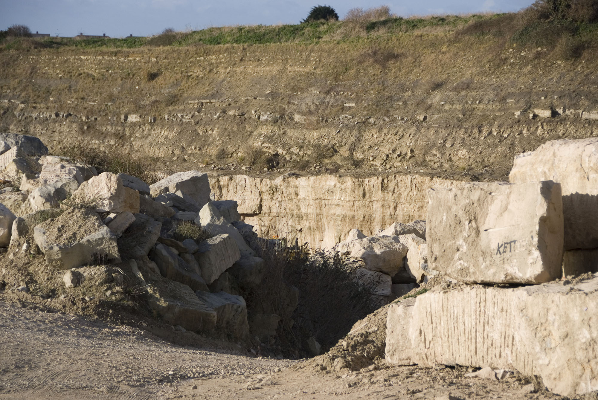UK Fossil Collecting