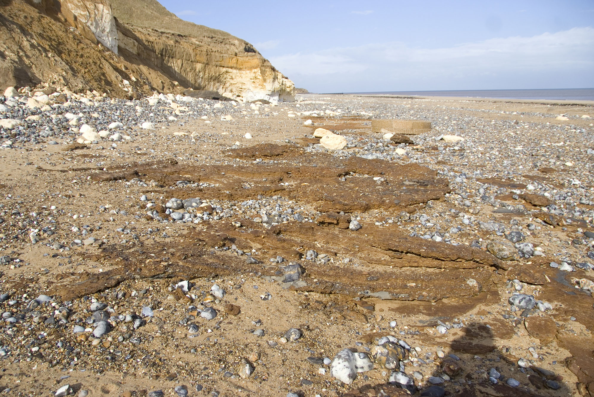 UK Fossil Collecting