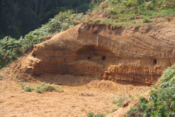 Suffolk – UK Fossil Collecting