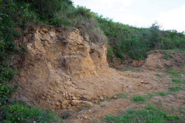 Suffolk – UK Fossil Collecting