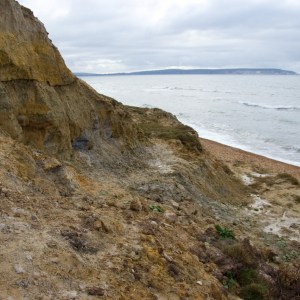 Taddiford Gap – UK Fossil Collecting