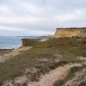 Taddiford Gap – UK Fossil Collecting