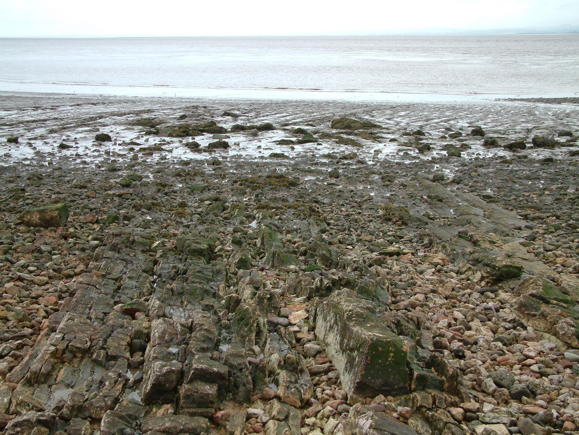 UK Fossil Collecting