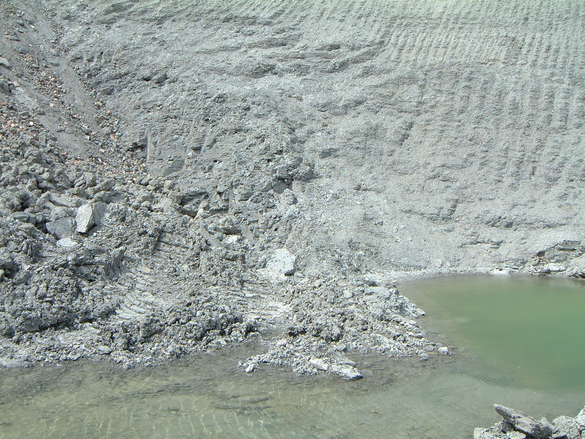 UK Fossil Collecting