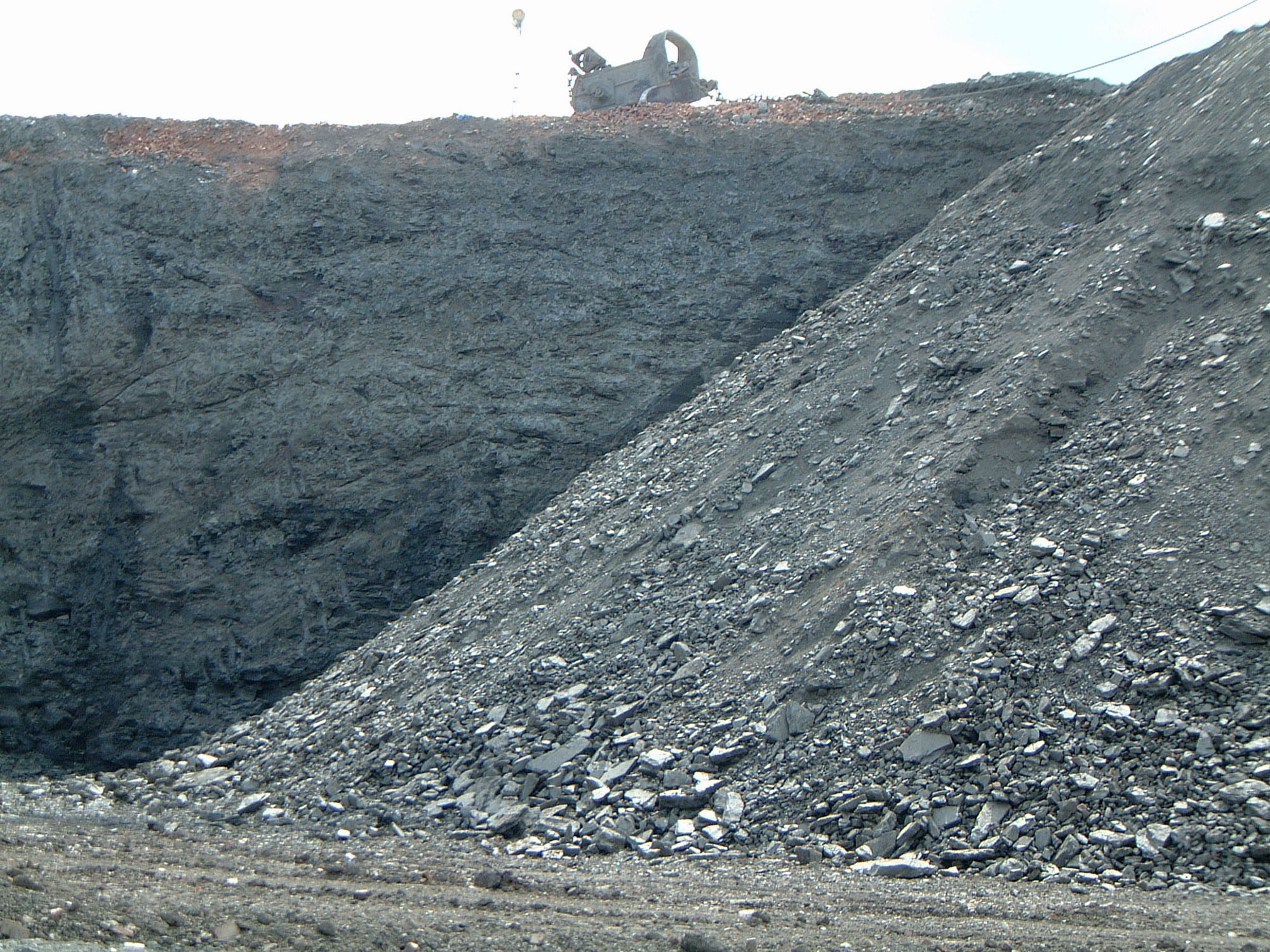 UK Fossil Collecting