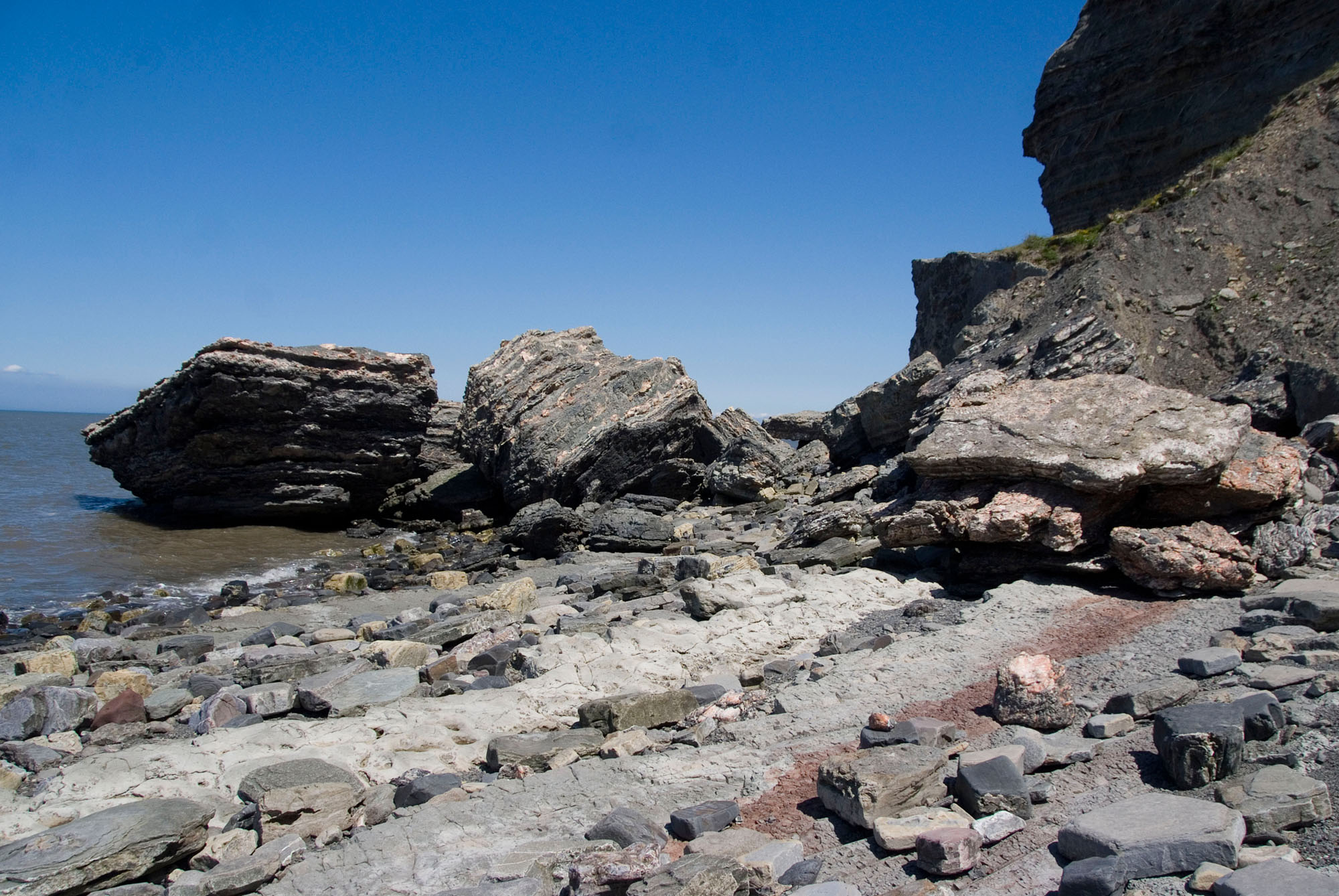 Blue Anchor - Fossil Collecting Guide (UK Fossils)