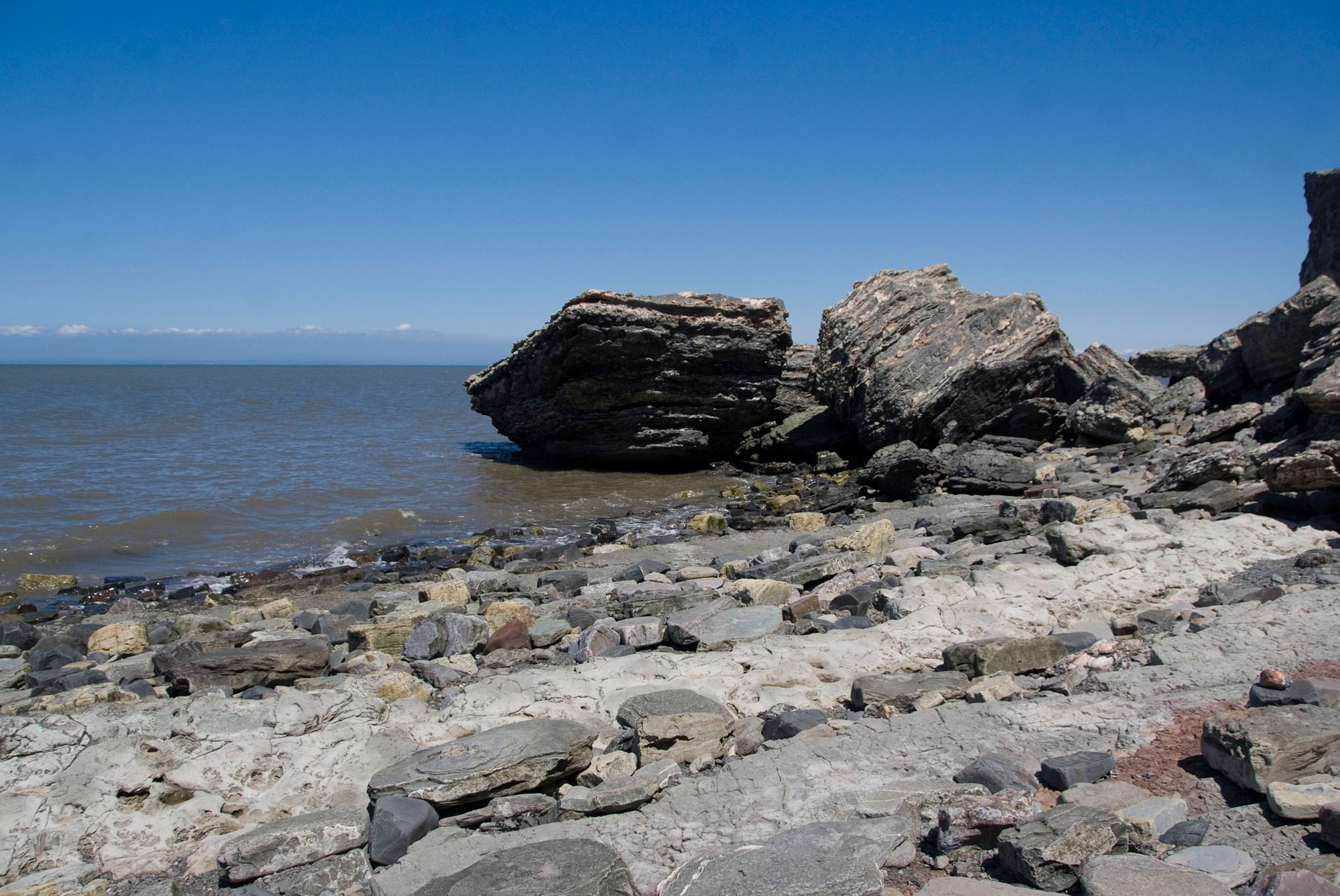 Blue Anchor - Fossil Collecting Guide (UK Fossils)