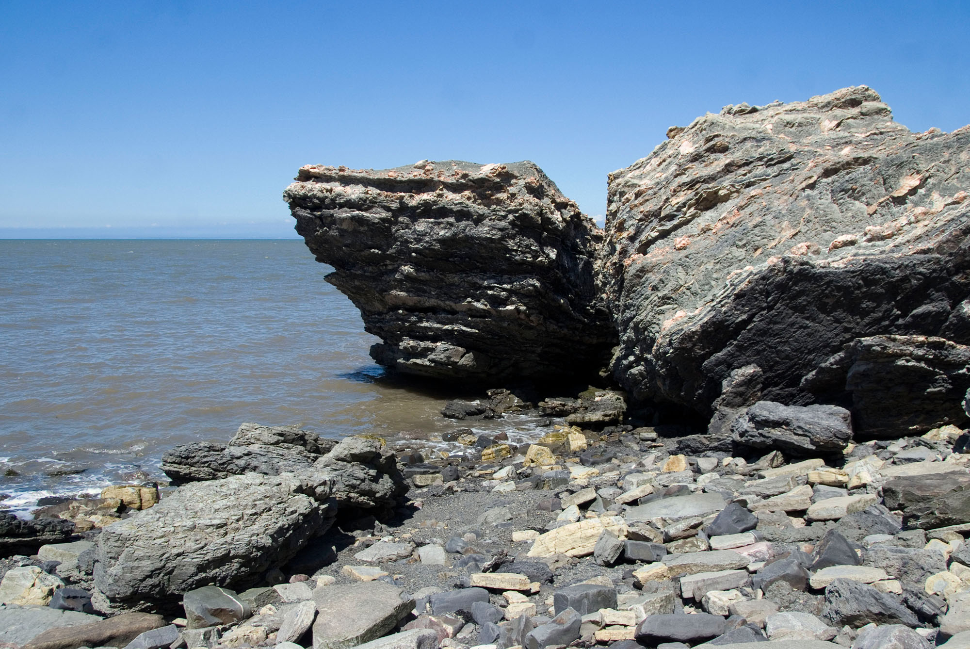 Blue Anchor - Fossil Collecting Guide (UK Fossils)
