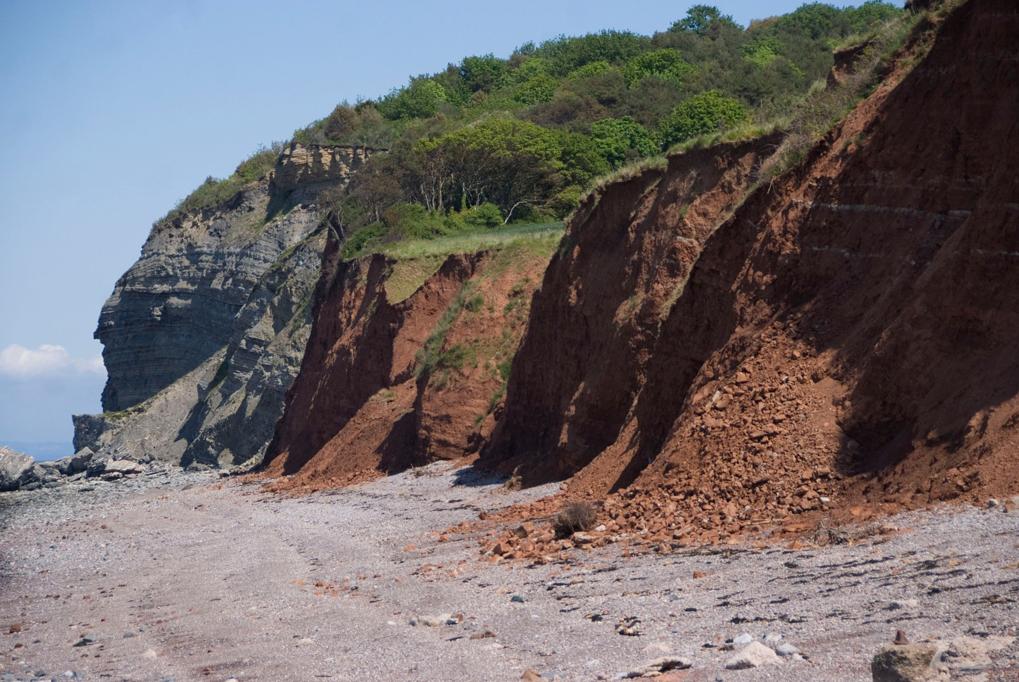 Blue Anchor - Fossil Collecting Guide (UK Fossils)