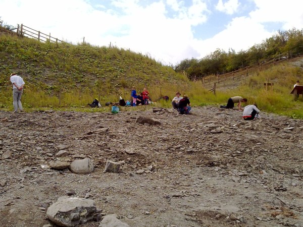 Cambridgeshire – UK Fossil Collecting