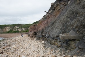 Seaham – UK Fossil Collecting