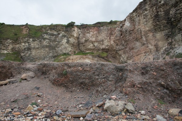 Seaham – UK Fossil Collecting