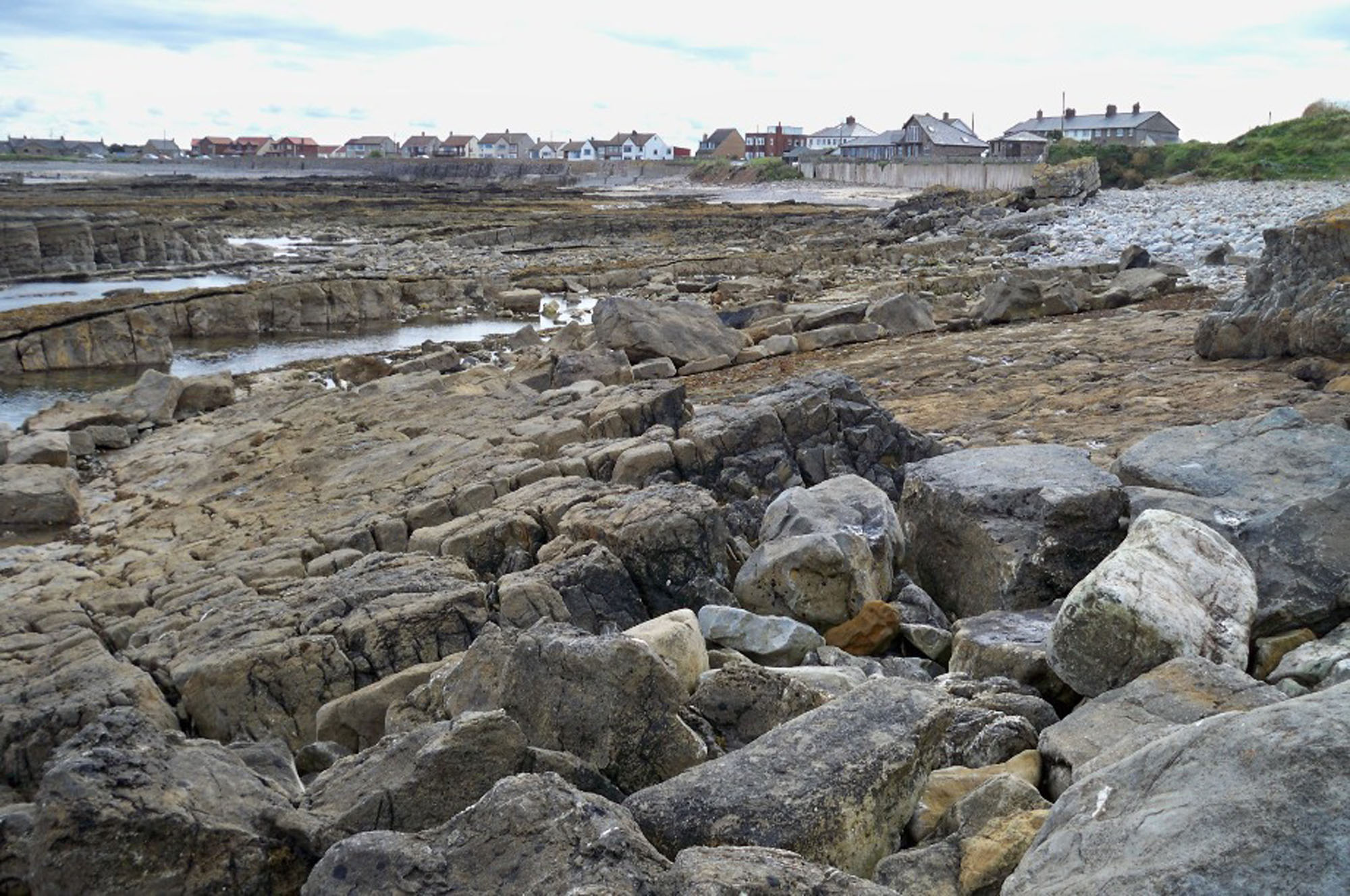 UK Fossil Collecting